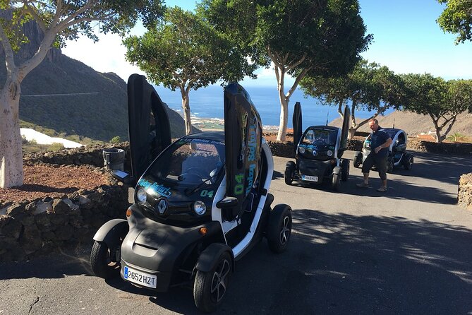 4 Hours Eco Safari Tour with Electric Car in Tenerife - FAQs