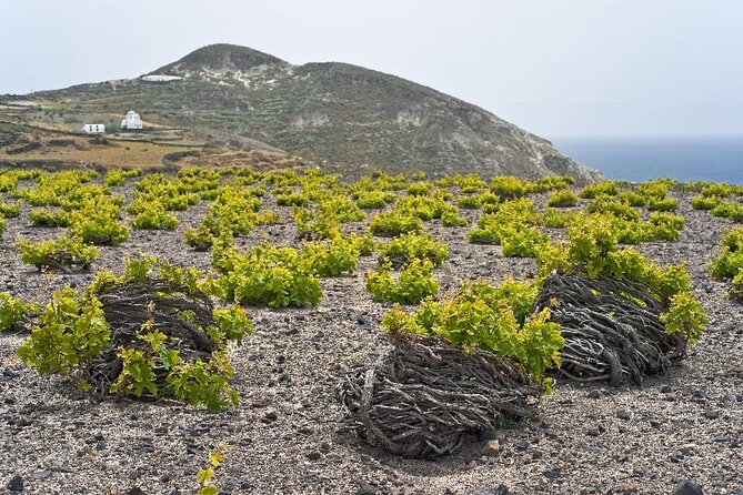 4 Hours Private Custom Tour in Santorini - Who Should Consider This Tour?