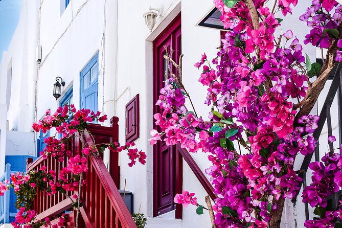 4Hours Mykonos Adventure Walk in Town & Minivan Countryside Tour - What’s Not Included