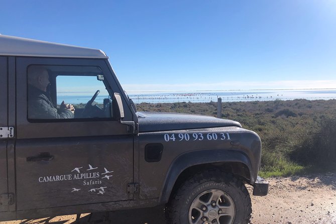 4x4 Camargue Safari 4h - Private Tour - Departure from Arles - FAQ About the Camargue 4x4 Safari
