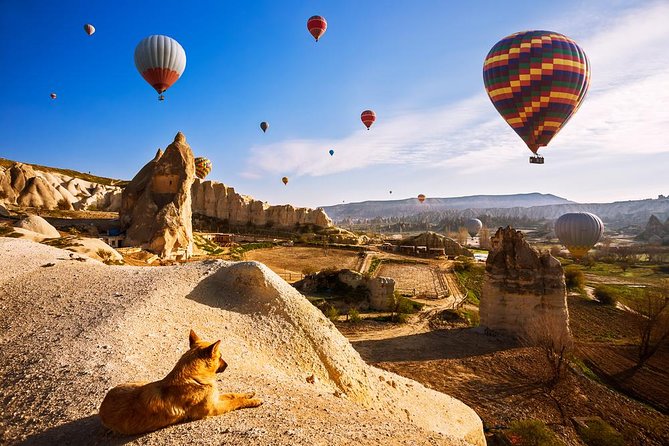 5-Day Istanbul and Cappadocia Tour including Hot Air Balloon Flight - FAQ