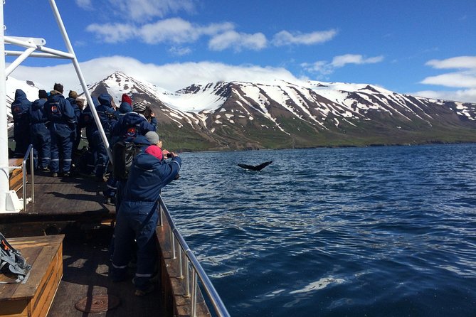 7-Day Complete Iceland: South Coast, Golden Circle, Akureyri & Snaefellsnes - The Sum Up