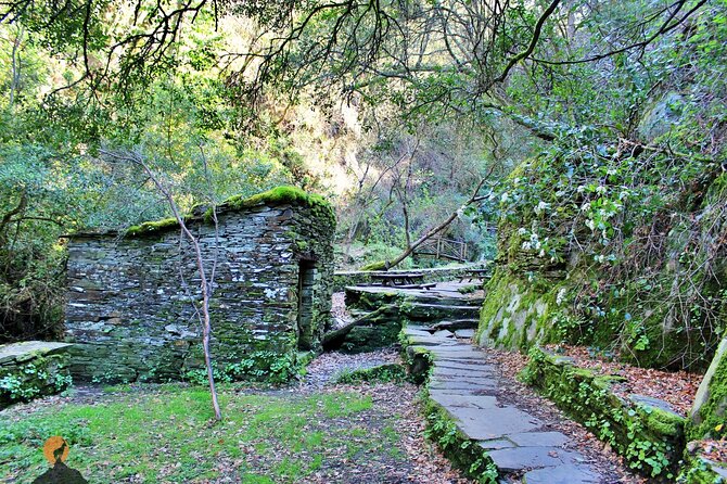 A tour between Cascades and Schist Villages, Piodão - The Experience and Atmosphere
