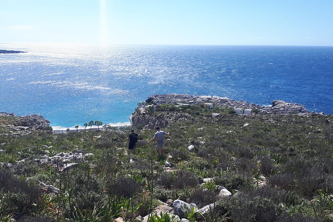 Above ARADENAgorge, MARMARAbeach, LIVANIANA. - Real Experiences and Reviews