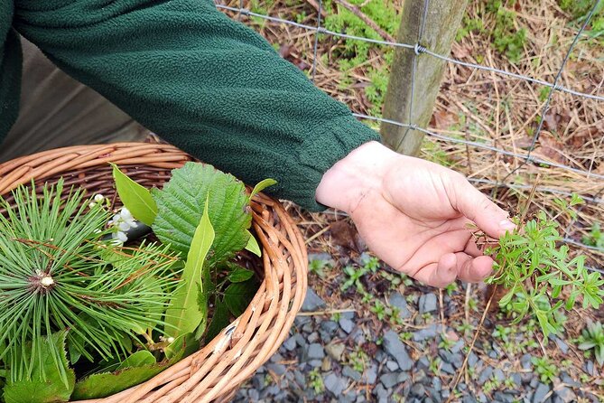 Adult Foraging Walk & Bushcraft Cookery Course for Beginners - Personal Experiences and Feedback from Past Participants