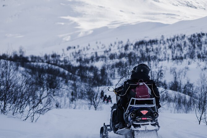 Adventure Snowmobile Safari - Who Is This Tour Best For?
