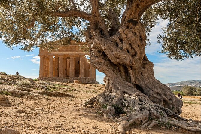 Agrigento to Siracusa with Valley of Temples and Roman Villa Trip - The Sum Up