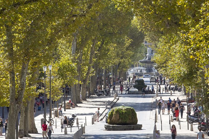Aix En Provence and Wine Tasting Private Full day Tour - Price and Value