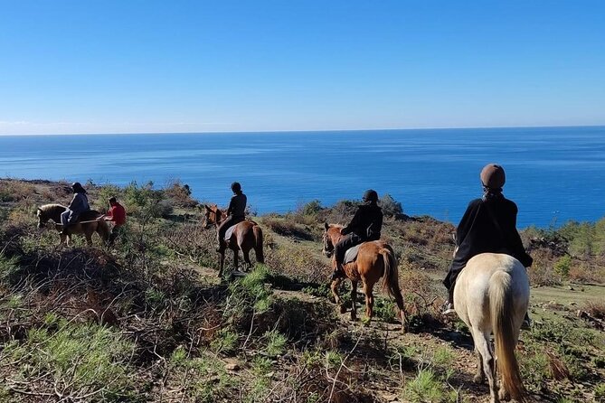 Alanya Horseback Riding in the Taurus Mountains with Transfer - The Sum Up: Is It Worth It?