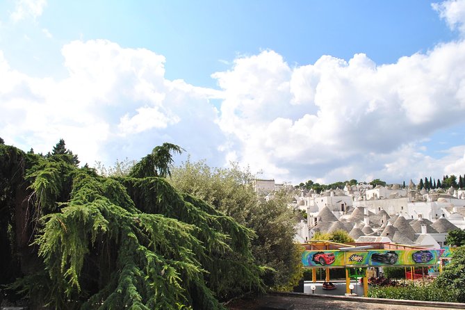 Alberobello with a local tour guide!(shared tour max.15 pax) - FAQ