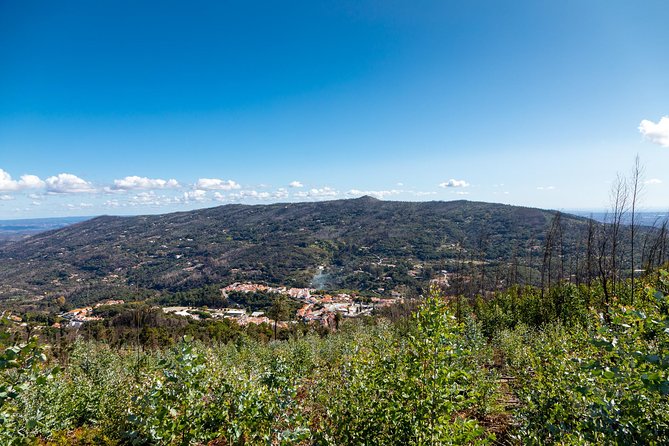 Algarve a la Carte - Who Should Book This Tour?