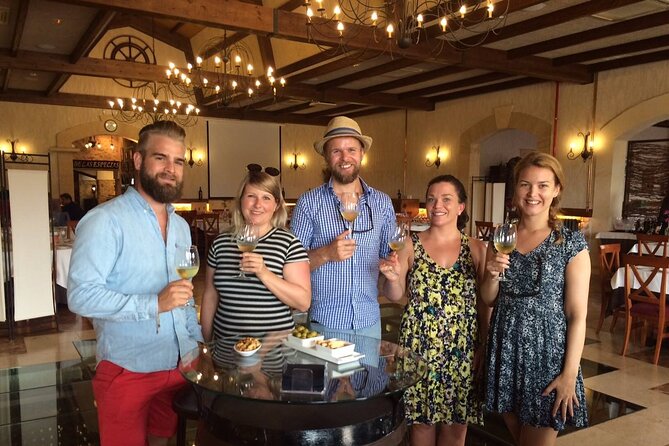 Alicante Old Winery Tour and Wine Tasting Including Transfer - The Sum Up