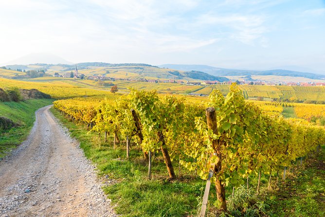 Alsace Half Day Wine Tour from Colmar - Scenery and Atmosphere