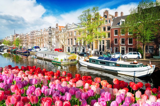 Amsterdam Private Sightseeing Tour for Kids & Families w/Local Guide - The Sum Up