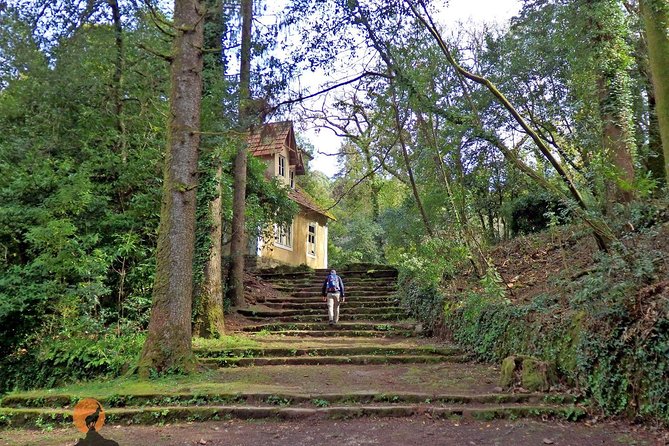 An adventure through the Forest and Palace of Bussaco - Coimbra - FAQ