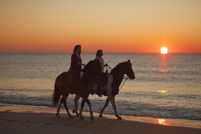 Antalya Horse Riding On Beach And Through The Forests For 2 Hours - The Real-World Perspectives: What Tourists Are Saying