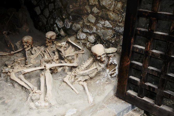Archeological Herculaneum Private & Personalized Guided Tour - The Value Proposition