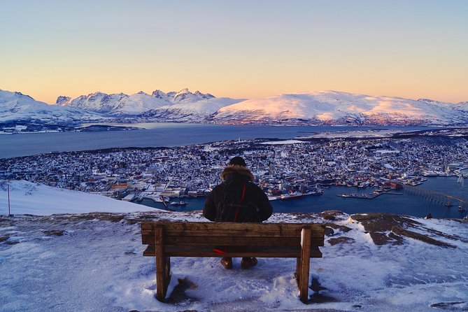 Arctic Panorama cable car excursion - Practical Considerations