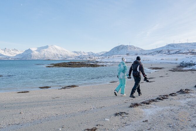 Arctic Roadtrip: fjords with scenic picnic | Small group 4x4 Van - The Sum Up