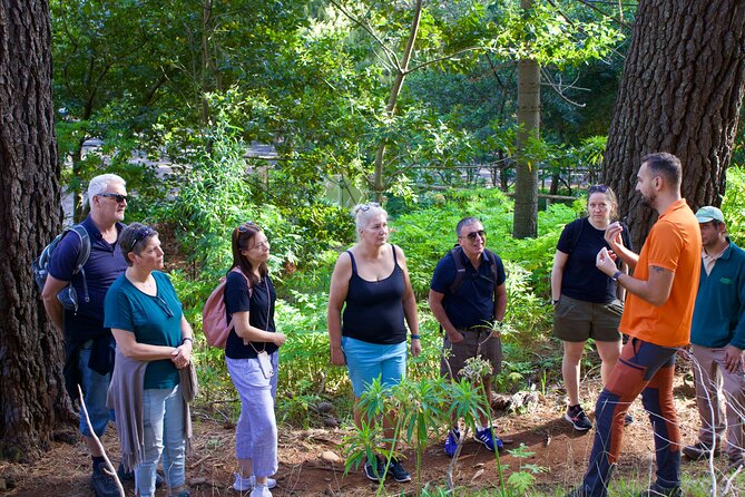 Arieiro Peak, Santana & Ponta São Lourenço in Open Roof 4X4 Tour - Who Will Love This Tour?