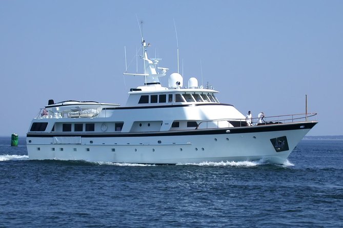 Arrival / Departure Private Transfer Heathrow Airport to Southampton Cruise Port - Authentic Experiences and Genuine Feedback