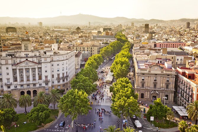 Arrival Transfer from Barcelona Airport BCN to Barcelona in Private Car/Van - Who Should Book This Transfer?