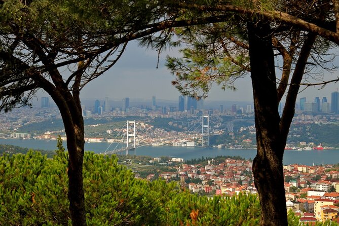 Asian Side of Istanbul Tour - Half-Day Small Group Tour - FAQ