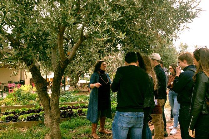 ATHENS OLIVE ESTATE - Olive Oil Workshop with Farm-to-Fork Lunch - Insights From Real Travelers