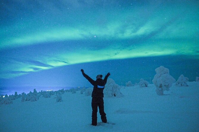 Aurora Hunt for 3 Hours in Saariselkä - Who Will Love This Tour?