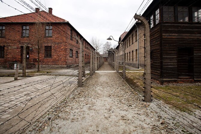 Auschwitz-Birkenau & Salt Mine Day tour - Logistics and Practical Details