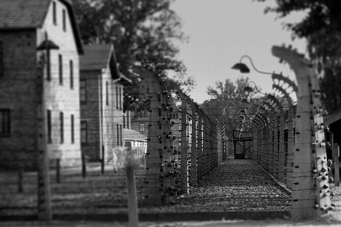 Auschwitz Birkenau Transfer and Guide with Salt Mine Combo Option - FAQs