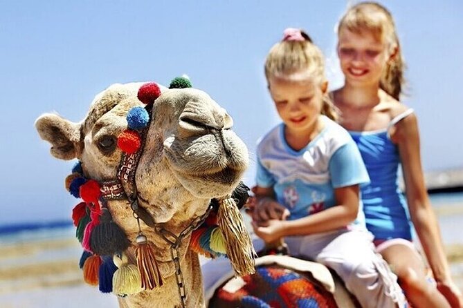Authentic Private Tangier Tour from Tarifa Camel Ride & Lunch - FAQ