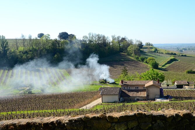 Backcountry E-Bike Adventure from Bordeaux: Wine Tasting & Lunch - Authentic Experiences and Genuine Feedback