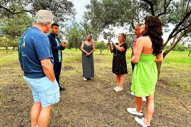 Balestrate Olive Grove Tour: Wine and Olive Oil Tasting - The Sum Up: A Truly Authentic Slice of Sicily