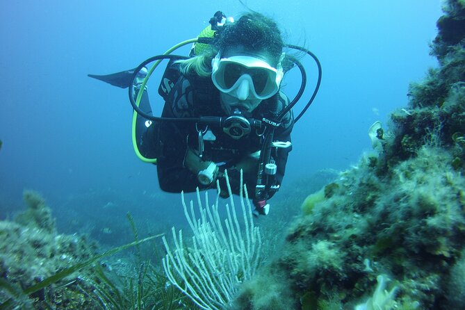 Baptism in the Northern Marine Reserve of Menorca - The Sum Up: Who Will Love This?