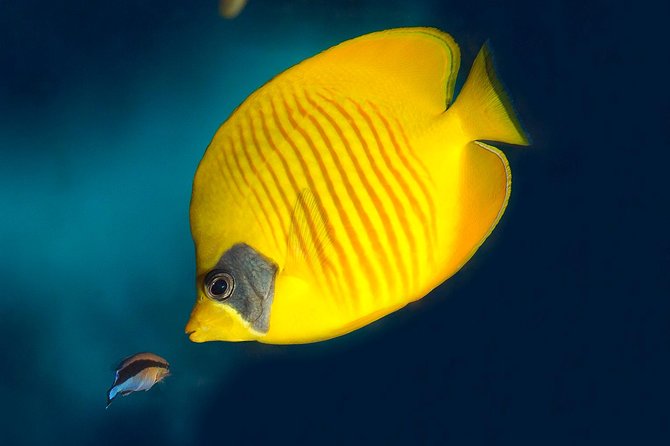 Barcelona Aquarium Skip the Line Ticket - Exhibits and Educational Features