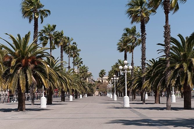 Barcelona Half-Day Sightseeing Private Tour - In The Sum Up: Who Will Love This Tour?