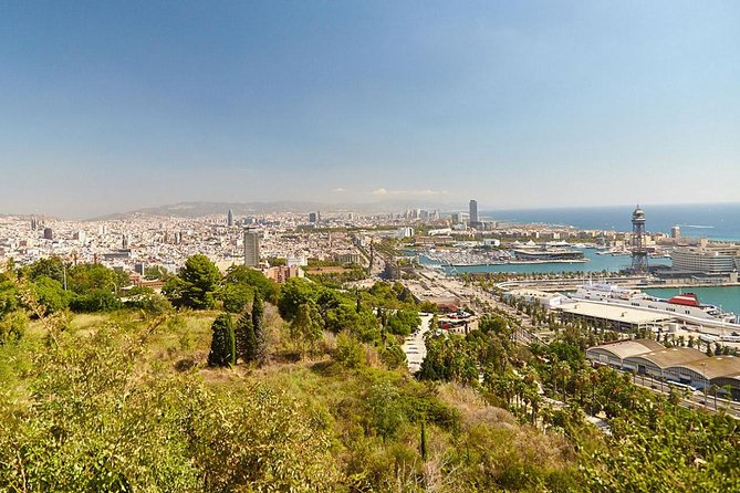 Barcelona Highlights Private Tour - Who Should Book This Tour?