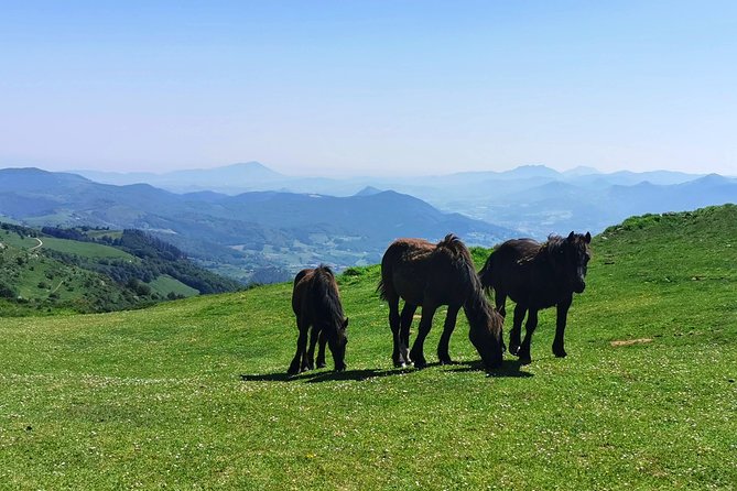 Basque MOUNTAINS, OCEAN & SANCTUARY of LOYOLA - Private Cultural Adventure - FAQs