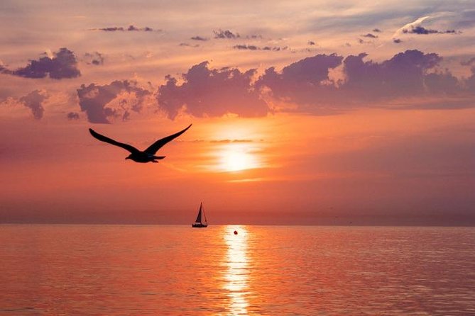 Beach Yoga Emotion Sitges (Barcelona) - Who Will Love This Experience?