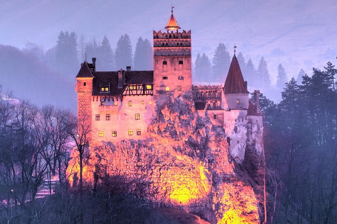 Bears Sanctuary, Dracula's Castle, Brasov Day Trip Private Tour from Bucharest - Frequently Asked Questions
