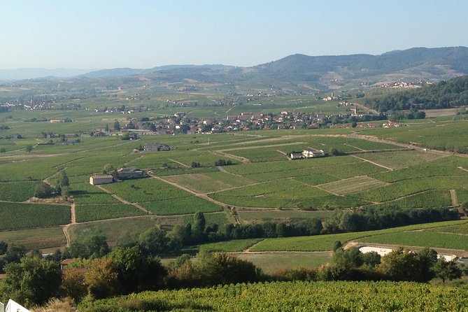 Beaujolais Crus Wines & Castles (2:00 pm - 6:30 pm) - Small Group Tour from Lyon - Frequently Asked Questions