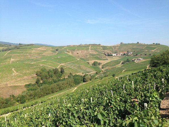 Beaujolais Crus Wines & Castles (9:00 am - 1:30 pm) - Small Group Tour from Lyon - FAQ