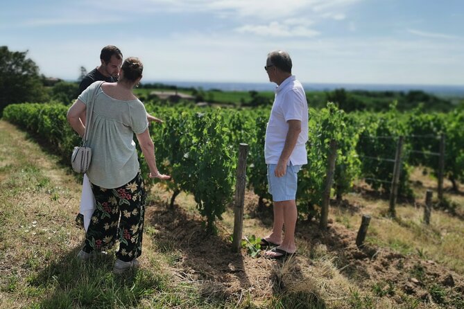 Beaujolais wine tour from Lyon half day - Transportation and Logistical Details