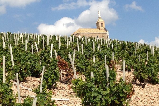 Beaujolais Wines & Castles - Private Tour - Half Day - Wrapping It Up: Is This Tour Worth It?