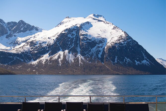 Beiarfjord & Saltstraumen Cruise with Guide - Frequently Asked Questions