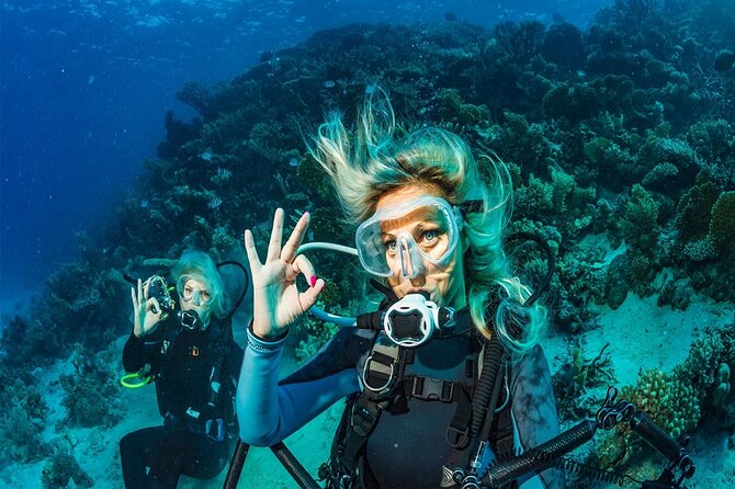Belek Scuba Diving Experience (2 Dives) With Lunch - Who Is This Tour Best For?