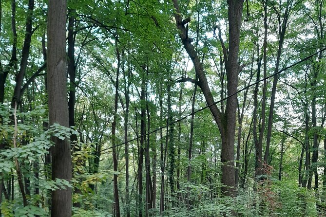 Belgrade Hiking Tour On Mountain Avala - Who Should Consider This Tour?