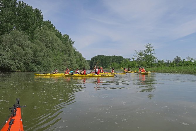 Belgrade War Island Kayak Tour - Final Thoughts