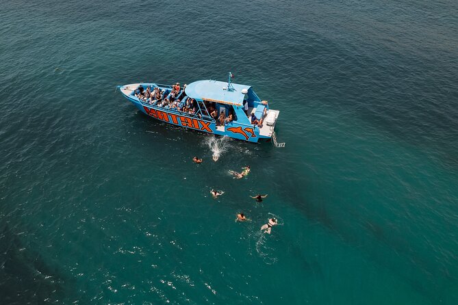 Benagil Caves and Dolphin Watching - 2.5h - Authentic Perspectives: What Travelers Are Saying